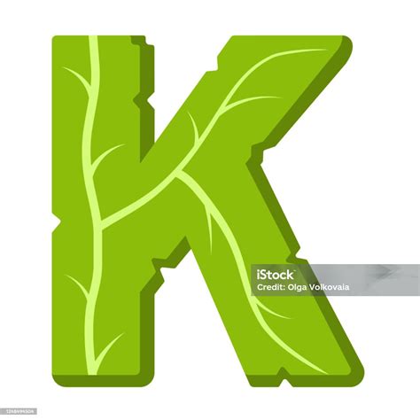 문자 K 녹색 잎 여름 벡터 알파벳 3차원 형태에 대한 스톡 벡터 아트 및 기타 이미지 3차원 형태 건강한 생활방식