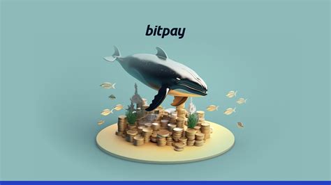 Bitcoin Transaction Fees Explained And How To Pay Less In Btc Fees Bitpay