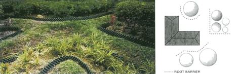 Nylex Rootex Rcb 1000l Linear Or Planter Style Root Control And Barrier