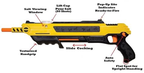 Picnic Bbq And Outdoor Pest Control Flies Ants Bees Etc