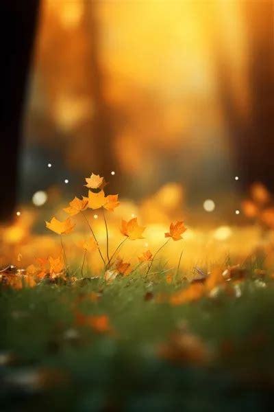 تصویر زمینه