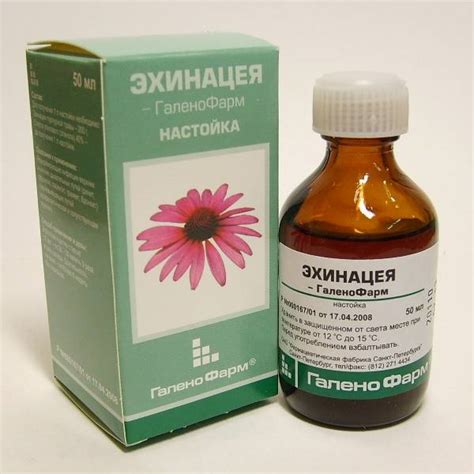 Эхинацея для детей (сироп, настойка) для иммунитета: инструкция по ...