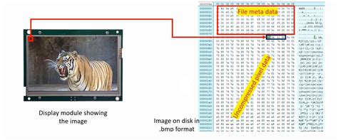 Imagesource To Byte Array