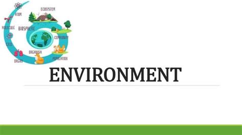 Concept Of Environmentpptx Concept Of Environmentpptx