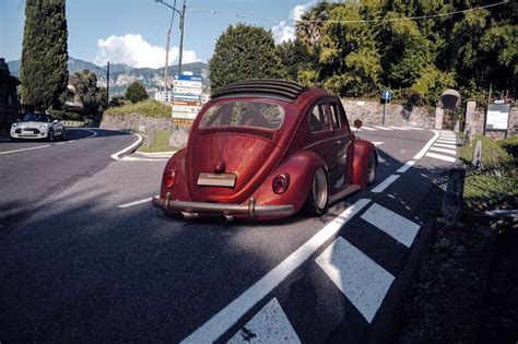 Muhammad Atef Atf Auf Linkedin Ninjafellowship Fusca Digitalphotography