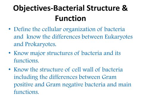 PPT Understanding Bacterial Structure Function Genetics Overview PowerPoint Presentation