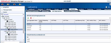 如何部署 Oracle Vm Server For Sparc