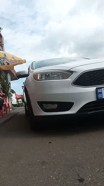 პატარა კნუტი დავინახე და სახლში უნდა წავიყვანო როცა წავალ რა საყვარელია🥹🥹🥹🥹😢 Youtube