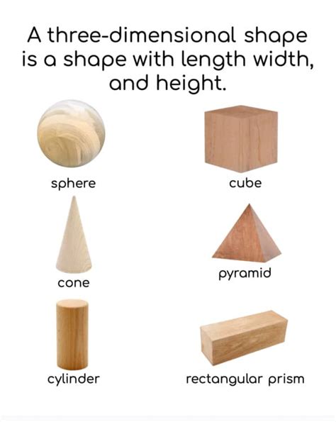 2 And 3 Dimensional Shape Posters By Laura Finney Tpt