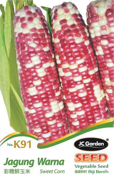 Jc花园种子 瓜果种子 Jc Garden Seed