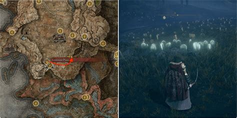 Elden Ring All Larval Tear Locations In Shadow Of The Erdtree