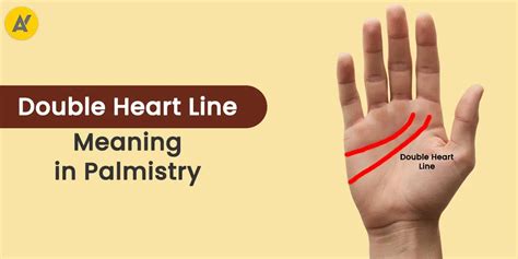 Double Heart Line In Palmistry Meaning Love Life And Personality Traits