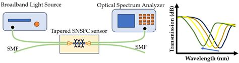 Sensors Free Full Text Optical Sensors For Bacterial Detection