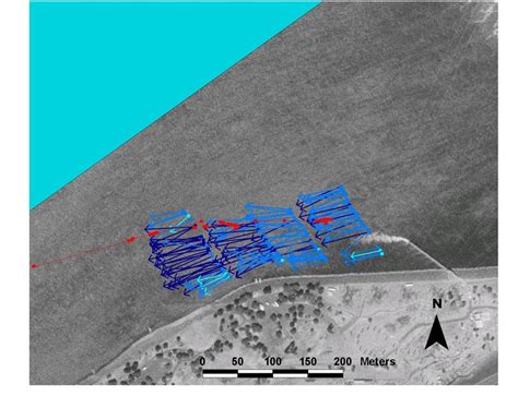 Surface Velocity Vectors At The Juvenile Bypass System Outfall During Download Scientific