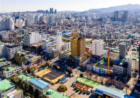 명지성모병원 서울연구데이터서비스