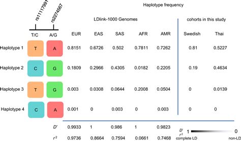 Haplotype Frequencies And Ld Parameters Of Rs11117991 And Rs2274567