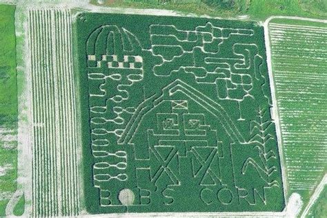 Bobs Corn Maze And Pumpkin Farm Snohomish Wa