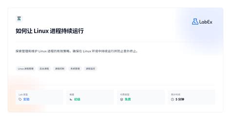 如何让 linux 进程持续运行 labex