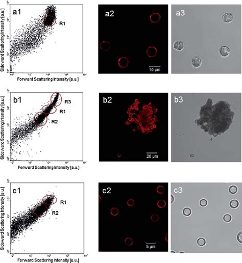 Flow Cytometry Fcm And Confocal Laser Scanning Microscopy Clsm