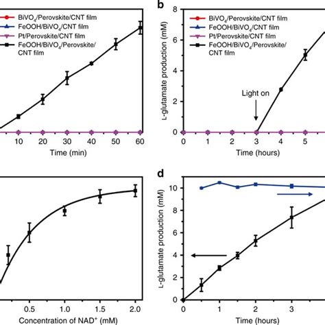 Characterization Of Feooh Bivo4 Photoanode A Sem Image Of Feooh Bivo4 Download Scientific