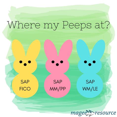 Sap Sapfico Sapmm Sappp Saple Sapwm Jacob Huffer