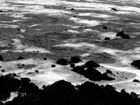 Saucer Blowout Dunes Over The Semiactive Transgressive Dune Field Sa Download Scientific