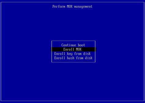 Configuring UEFI Secure Boot Veeam Agent For Linux User Guide