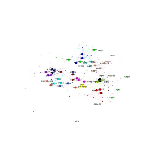 Network Visualization • Hdwgcna