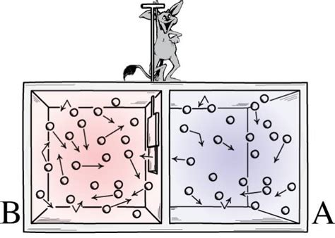 熵：时间、信息、生命 傅渥成的live 集智俱乐部