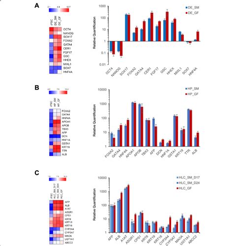 Expression Of Key Marker Genes At Each Stage Of The Hepatocyte Download Scientific Diagram