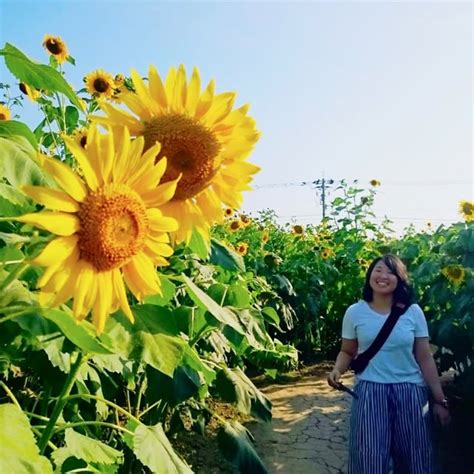 Kotoko Leeemon Threads Say More