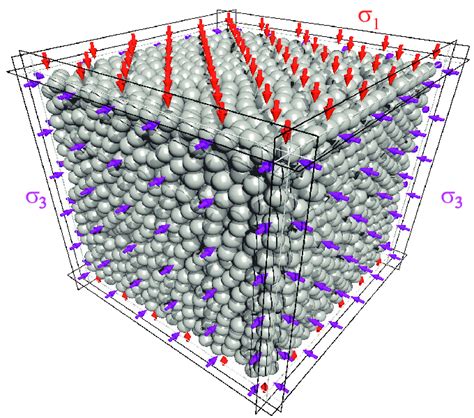 Setup Of The Triaxial Shear Test With Confining Walls Download Scientific Diagram