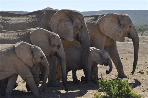 Shiv Iyer On Linkedin Mastering Postgresql Transaction Logs