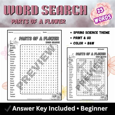 Parts Of A Flower Word Search Easy 25 Words Print And Go Answer Key