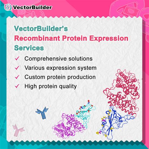 vectorbuilder on linkedin recombinant protein expression