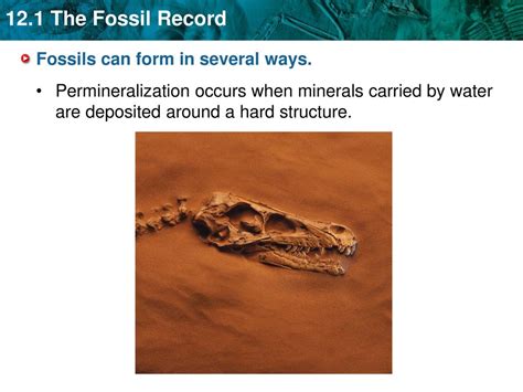 Fossils Can Form In Several Ways Ppt Download