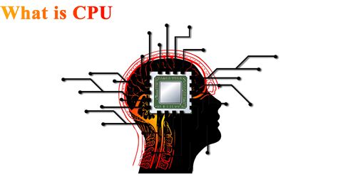 What Is Cpu Types Of Cpu Tashinva