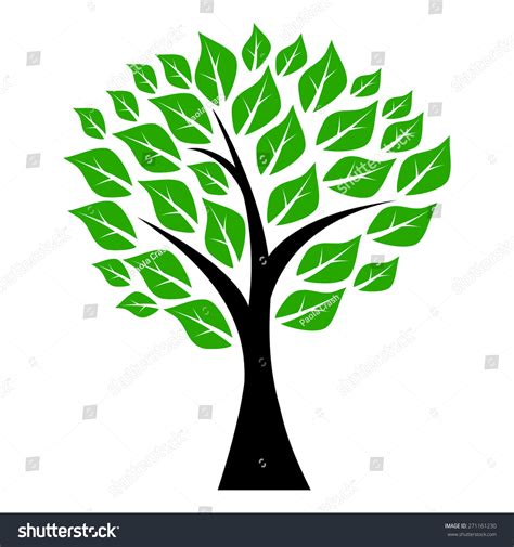 Tree Leaves Stock Vector Royalty Free Shutterstock