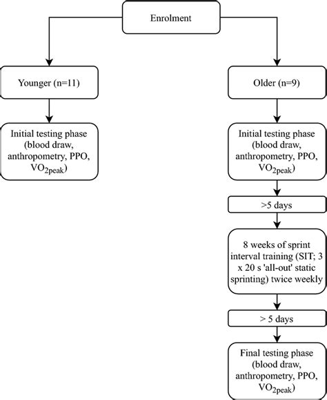 Schematic Representation Of The Methodological Flow Ppo Peak Power