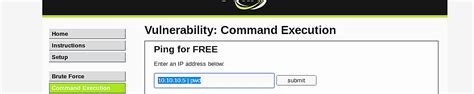 Exploiting Code Execution Vulnerabilities In Web Applications July 30