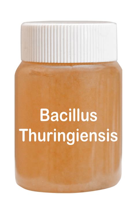 Bacillus Thuringiensis Anbr
