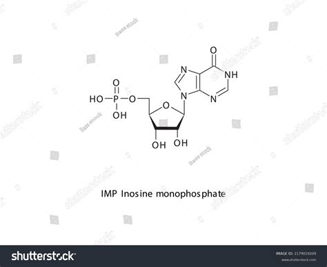 Imp Inosine Monophosphate Nucleotide Molecular Structure Stock Vector