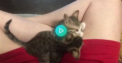Just 60 Seconds In My Lap Album On Imgur