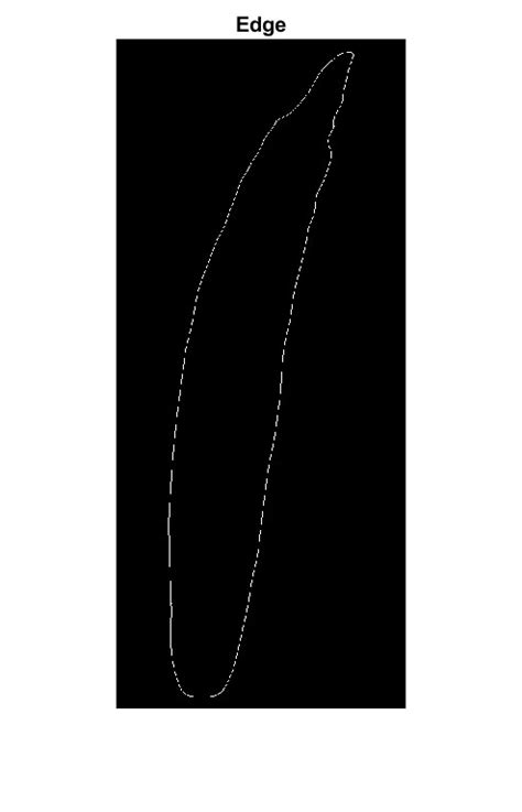 matlab how to parametrize the contour of an elliptic bw image stack