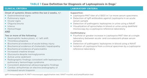 An Update On The Diagnosis And Management Of Leptospirosis Todays An Update On The Diagnosis And Management Of Leptospirosis Todays
