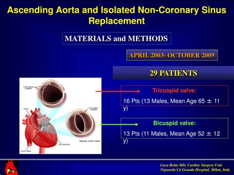 Ppt Partial Aortic Root Remodeling Powerpoint Presentation Free Download Id 5461225