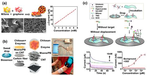 Recent Advances In Mxene Nanocomposite Based Biosensors