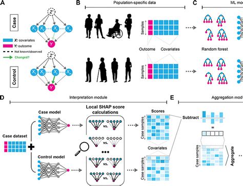 Interpretable Ai For Inference Of Causal Molecular Relationships From… Thomas Dugé De Bernonville