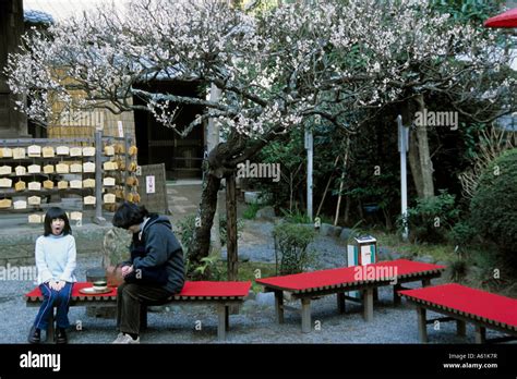 Japan Kamakura Teahouse Garden Stock Photo Alamy