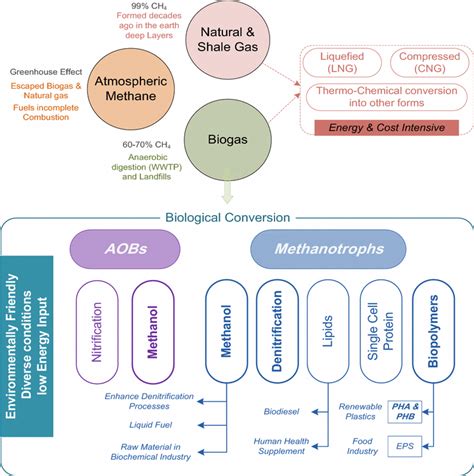 Methane Potential Applications From Different Sources Download Scientific Diagram